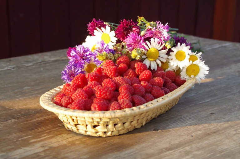 Mooste Vaarikas | Henrik Hinrikus